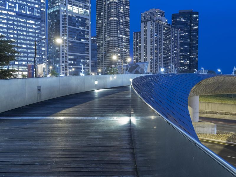 Nighttime Cityscape of Chicago, Illinois, USA HDRi Maps and Backplates