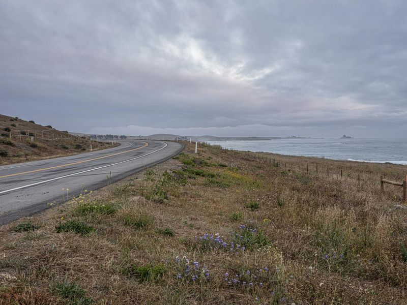 Dawn in California: A Glimpse of the Gloomy Grey Sky HDRi Maps and ...