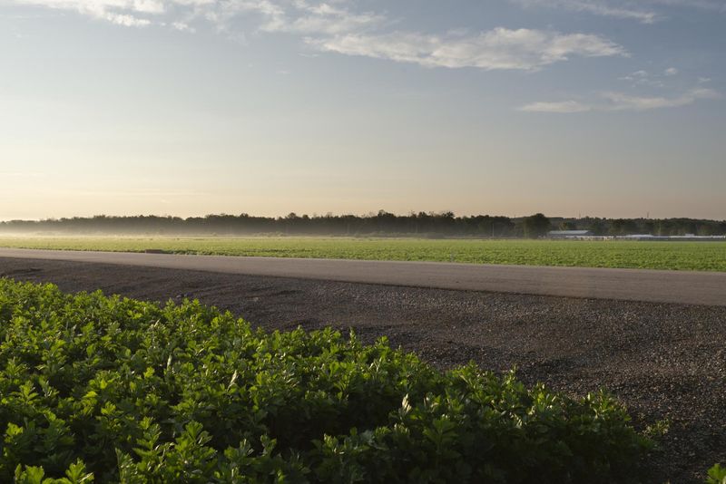 Dawn Over Rural Canadian Landscape: A Serene and Peaceful View HDRi ...