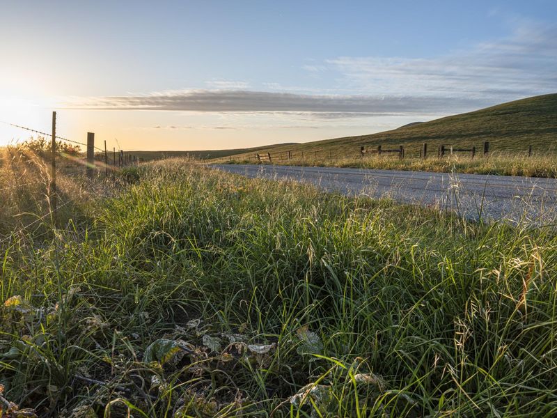 Dawn Road: Asphalt Low in California, USA HDRi Maps and Backplates