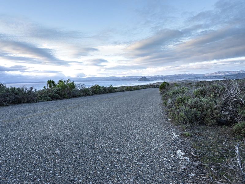 Dawn Road with Low-Lying Clouds on California Coast HDRi Maps and ...