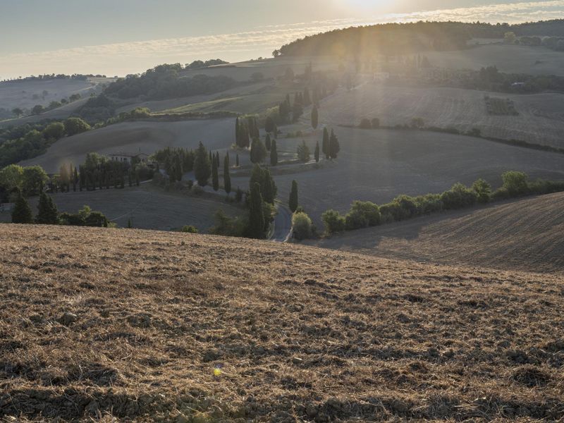 Dawn in Tuscany, Italy: Rugged Hills HDRi Maps and Backplates