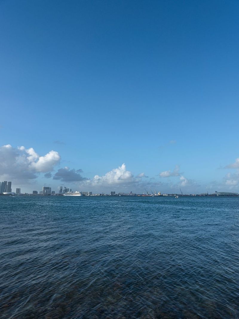 Daytime in Miami: Ocean Views and the Urban Jungle HDRi Maps and Backplates