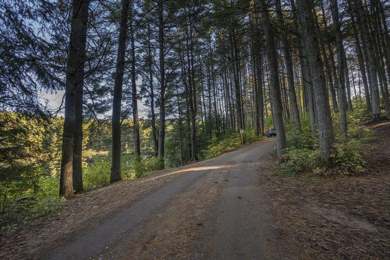 Deciduous Forest Road in Ontario, Canada HDRi Maps and Backplates