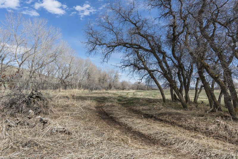 Denver Off-Road Track in Nature Forest HDRi Maps and Backplates