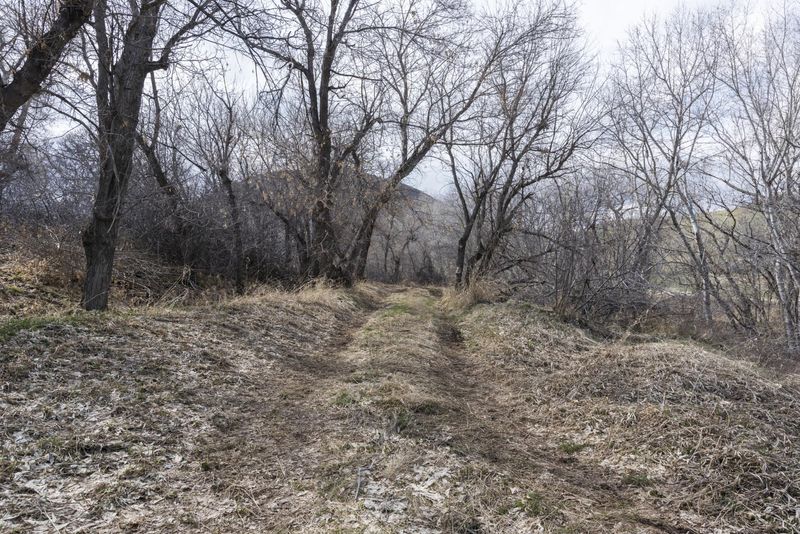 Denver Rural Landscape with Low Clouds - HDRi Maps and Backplates