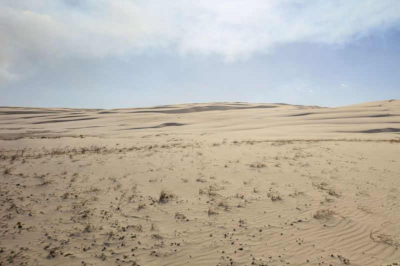 Desert Horizon: A Beautiful Sand Dune Landscape HDRi Maps and Backplates