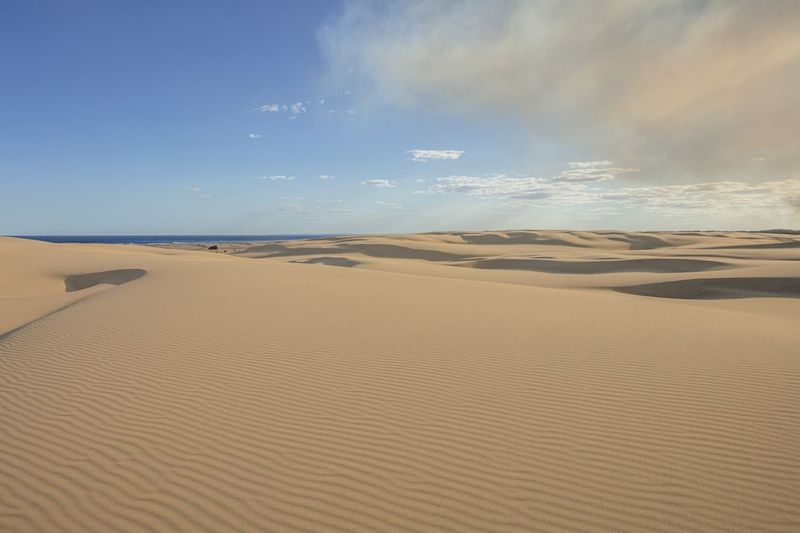 Desert Horizon: Sand Dunes and Aeolian Landforms HDRi Maps and Backplates