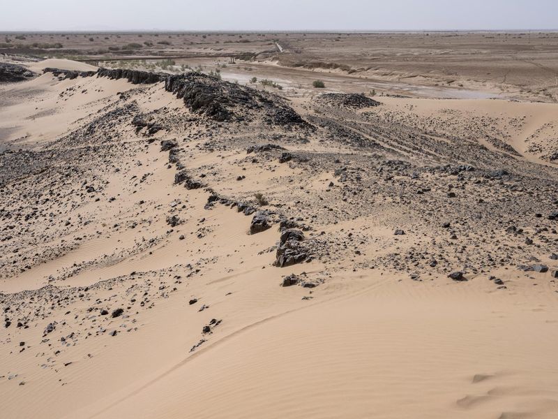 Desert Landscape: Sand Dunes under a Clear Sky HDRi Maps and Backplates