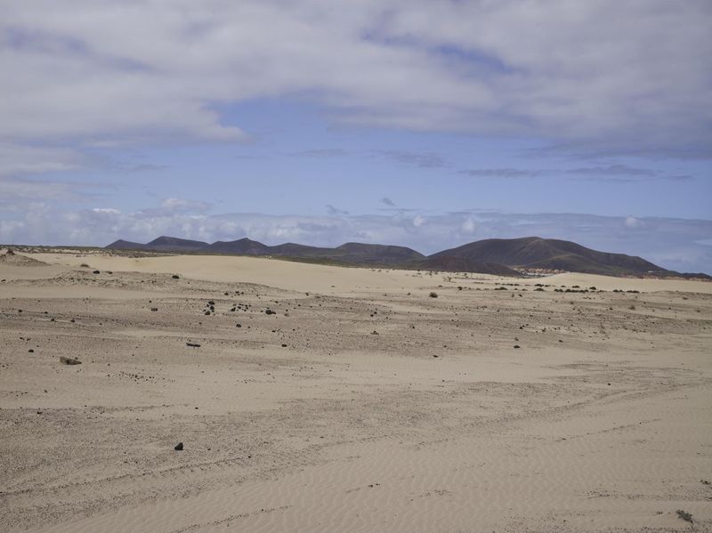 Desert Landscape: Sand Dunes in the Wilderness HDRi Maps and Backplates