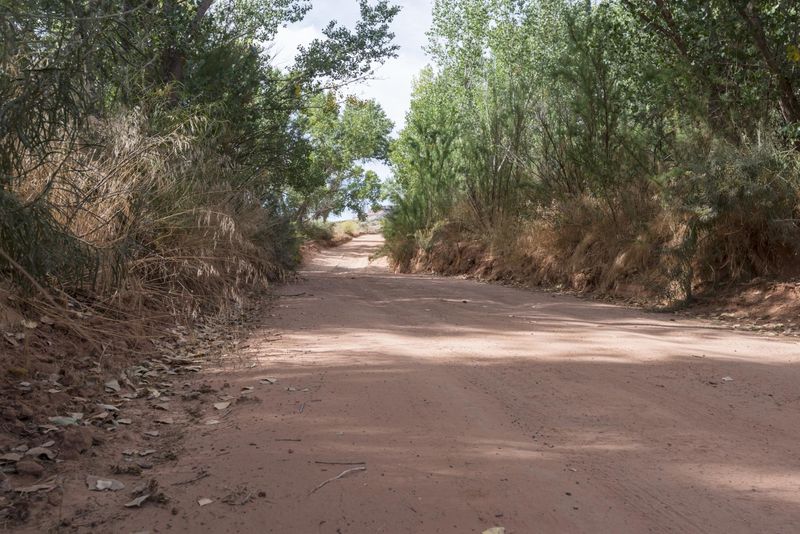 Dirt Road and Sand Street in Utah HDRi Maps and Backplates