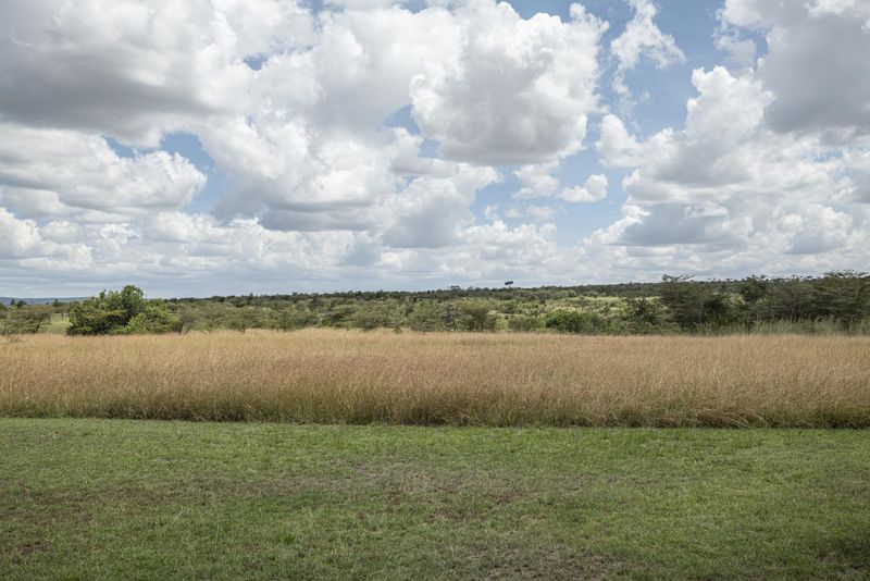 Wide Open Grassland Landscape in Africa HDRi Maps and Backplates