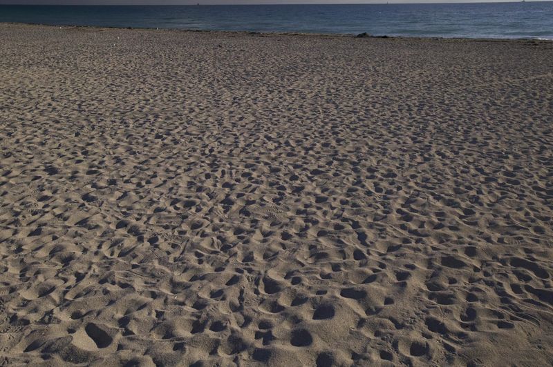 Scenic Dawn at the Beach HDRi Maps and Backplates