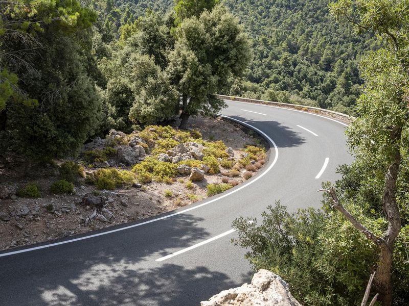 Elevated Vegetation on Curve Mountain Road HDRi Maps and Backplates
