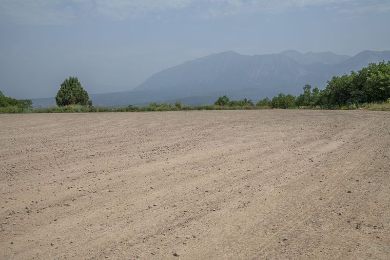 Empty Dirt Road Surrounded by Trees and Mountains HDRi Maps and Backplates
