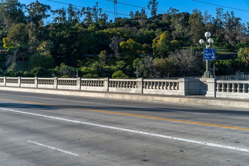 Empty Freeway Over Los Angeles Bridge with Tree HDRi Maps and Backplates