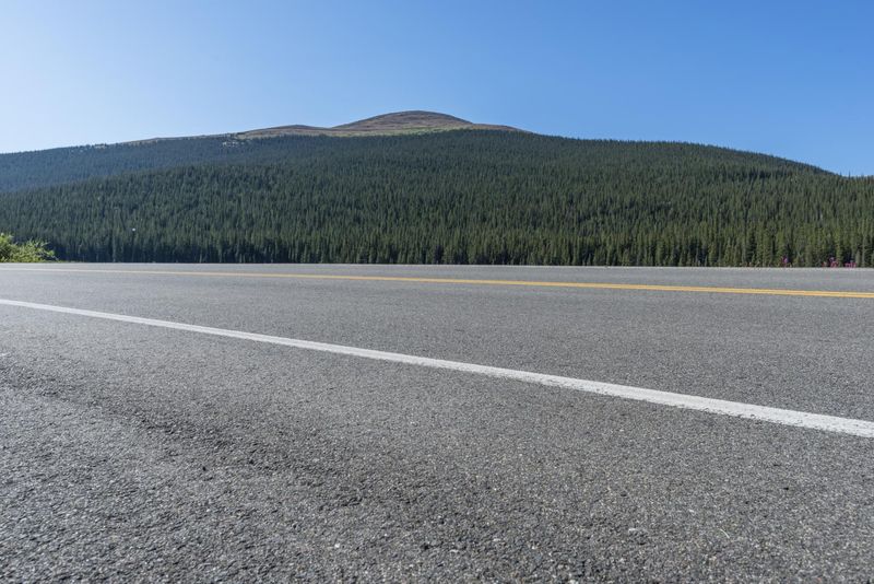 Empty Road in Colorado with Green Trees and Mountain Landscape HDRi ...