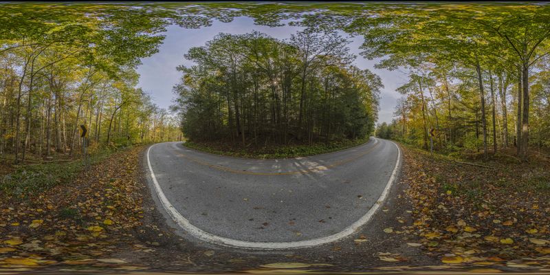 An Empty Road in Ontario, Canada: Surrounded by Trees HDRi Maps and ...