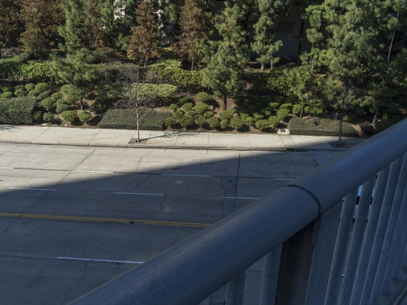 Empty Sidewalk with Trees in Los Angeles, California, USA HDRi Maps and ...