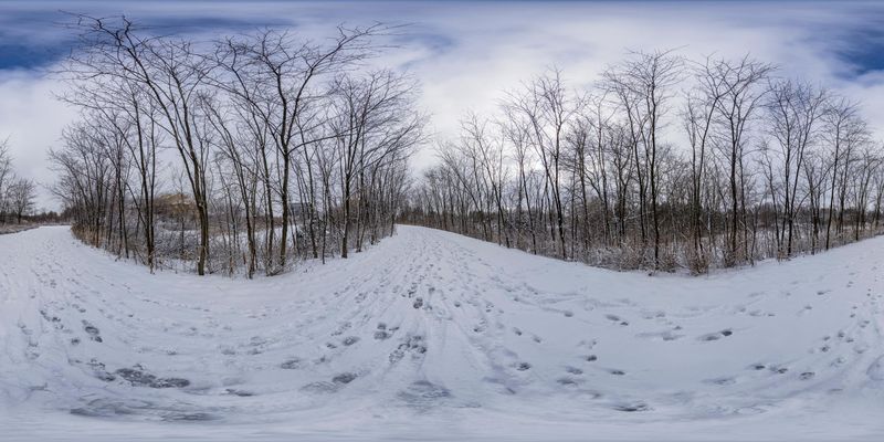An Empty Snow Bank: Tire Tracks and Trees HDRi Maps and Backplates