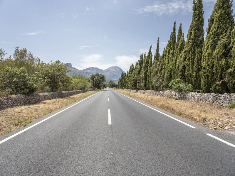 Europe Highland Tree-Lined Road HDRi Maps and Backplates