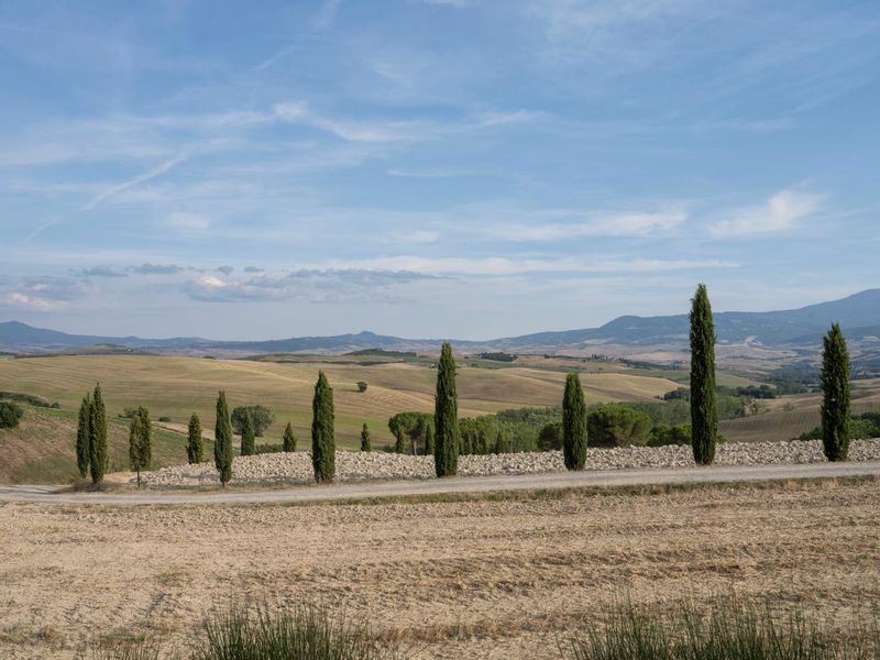European Countryside: Clear Skies and Lush Nature HDRi Maps and Backplates