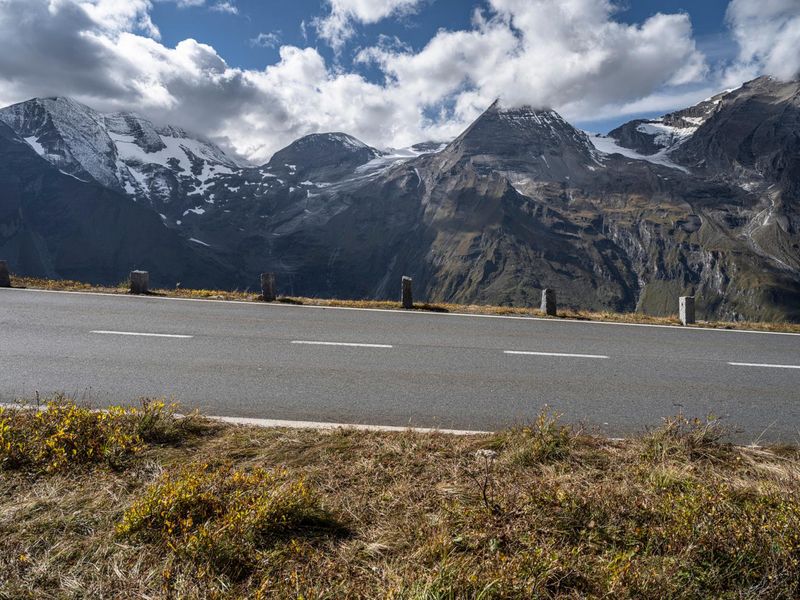 European Nature Scene: Clear Sky, Grass, and Tree HDRi Maps and Backplates