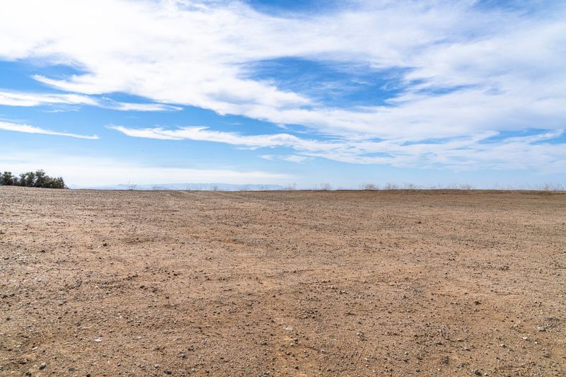 Expansive Landscape: Field of Grass with Blue Sky HDRi Maps and Backplates
