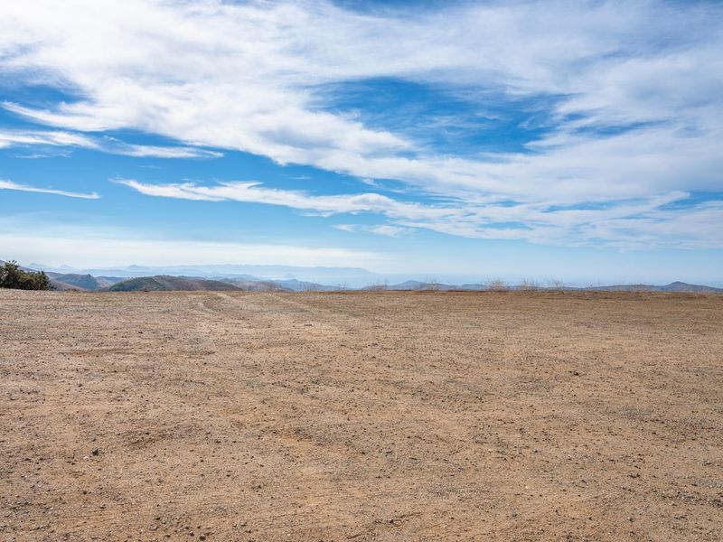 An Expansive Landscape with Trees and Vegetation HDRi Maps and Backplates