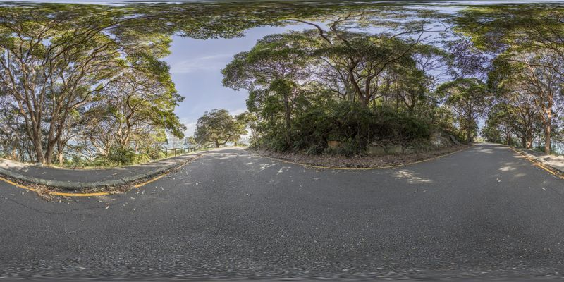 Coastal Landscape with Road and Trees HDRi Maps and Backplates