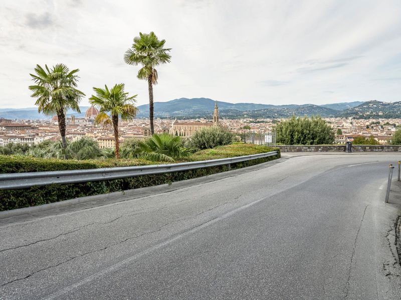 Florence Garden: An Asphalt Path for a Day in Nature HDRi Maps and ...