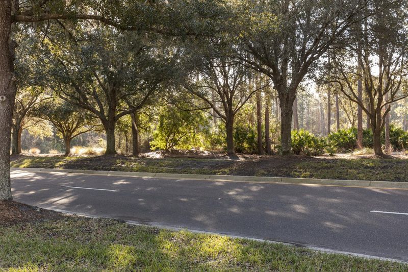 Florida Landscape: Green Grass in Sunlight HDRi Maps and Backplates