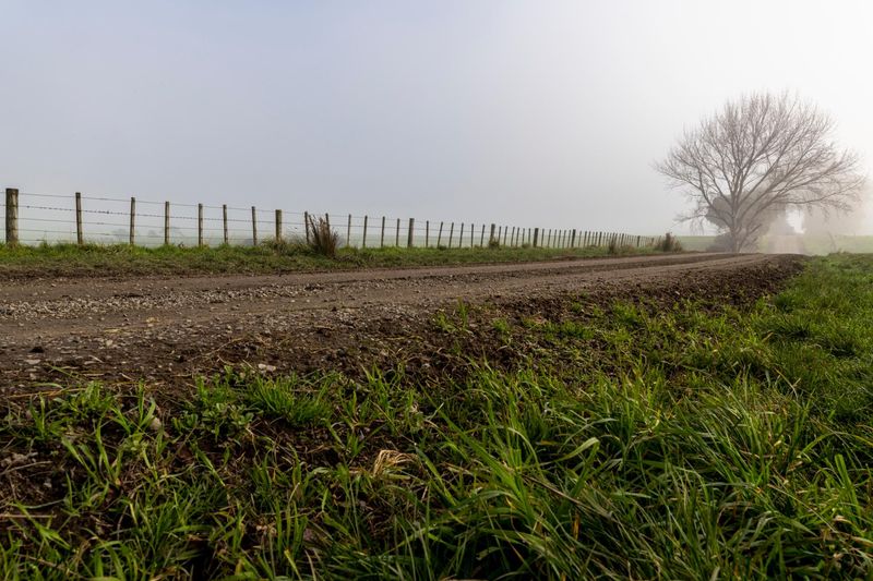 Foggy Day Road in Rural Landscape HDRi Maps and Backplates