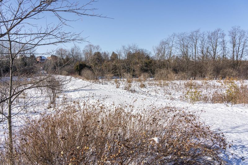 Forest Off-Road Tracks with Grass Surfaces HDRi Maps and Backplates