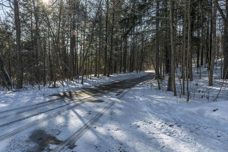 Winter Forest Road in Toronto, Canada HDRi Maps and Backplates