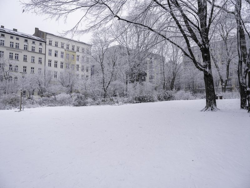 Freezing Landscape with Building, Tree, and Vegetation HDRi Maps and ...