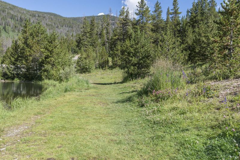 Frisco Colorado Road Through Mountain Grass HDRi Maps and Backplates