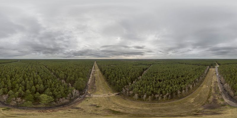 German Aerial Dome: Amidst the Forest Under a Grey Sky HDRi Maps and ...