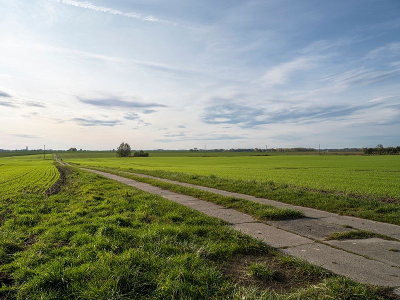 German Agriculture: Fields with Lush Vegetation HDRi Maps and Backplates