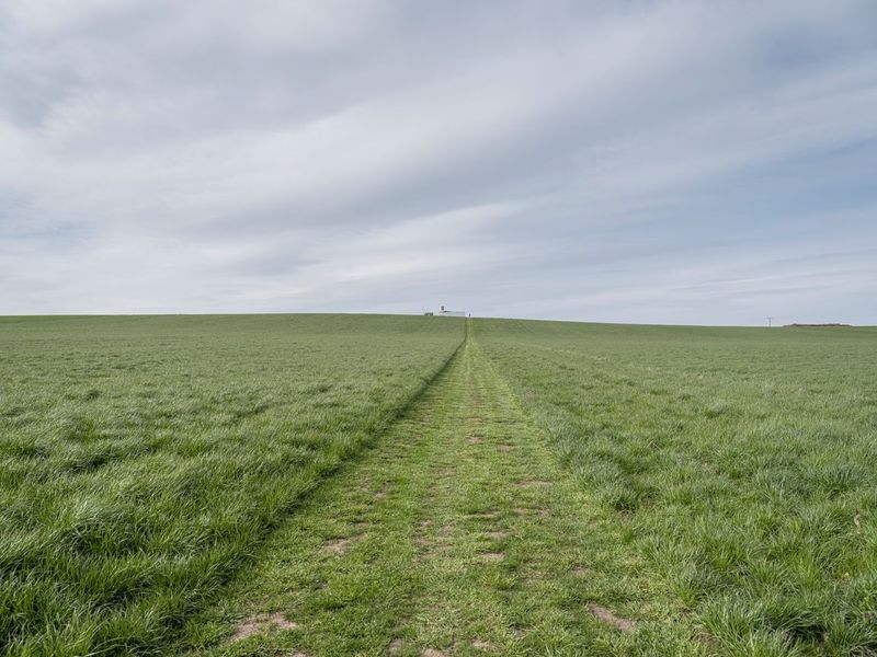 German Agriculture: Embracing the Lush Green Grass of Nature HDRi Maps ...