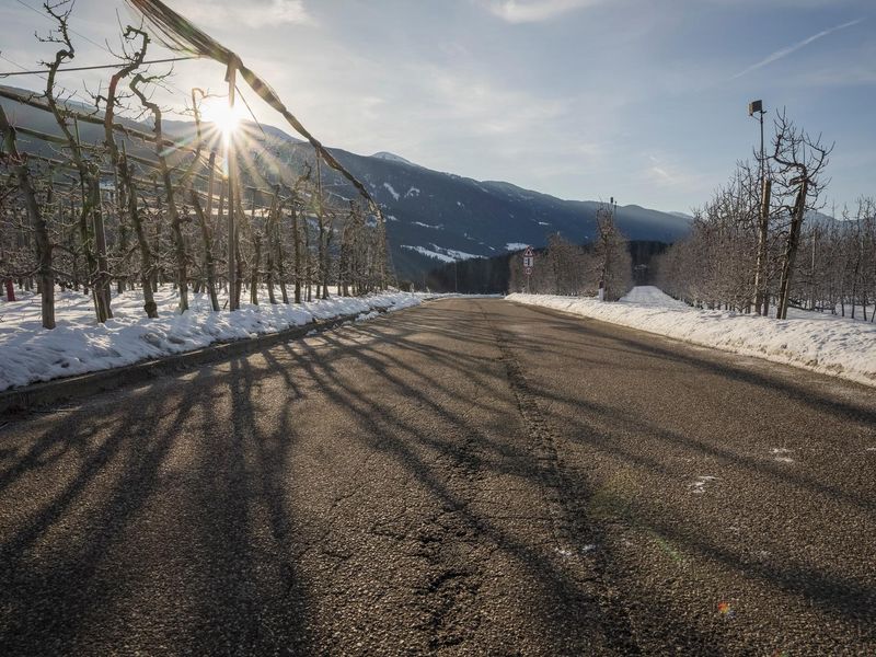 German Asphalt Road Through the Alps HDRi Maps and Backplates