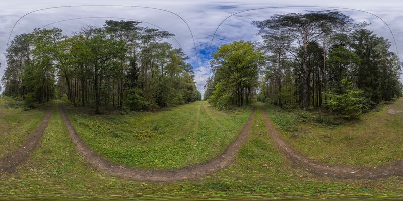 German Forest Road: A Scenic Landscape in Europe HDRi Maps and Backplates