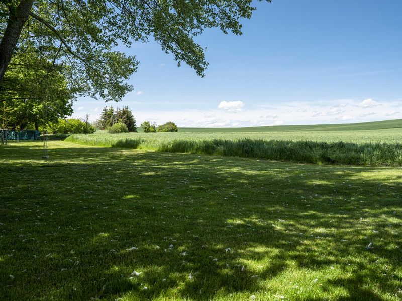 German Landscape: A Grass-Covered Field HDRi Maps and Backplates