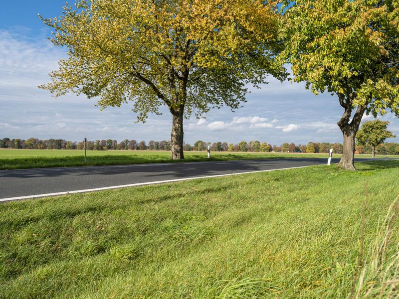 German Rural Landscape: Road Through Fields HDRi Maps and Backplates