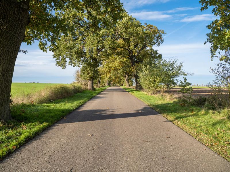 Germany's Asphalt Road: A Scenic Landscape View HDRi Maps and Backplates