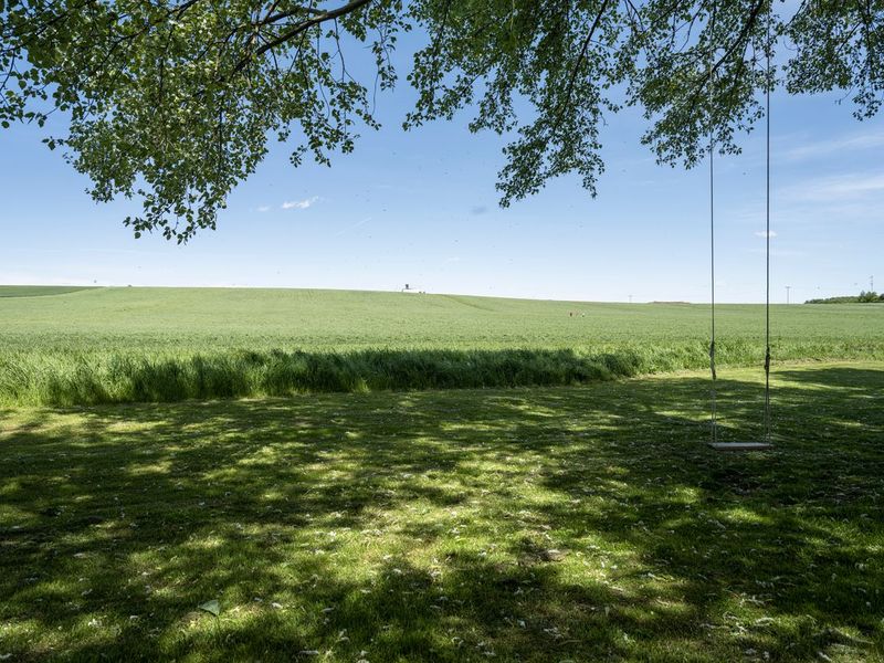 Germany's Grass Field: A Picture of Agriculture HDRi Maps and Backplates
