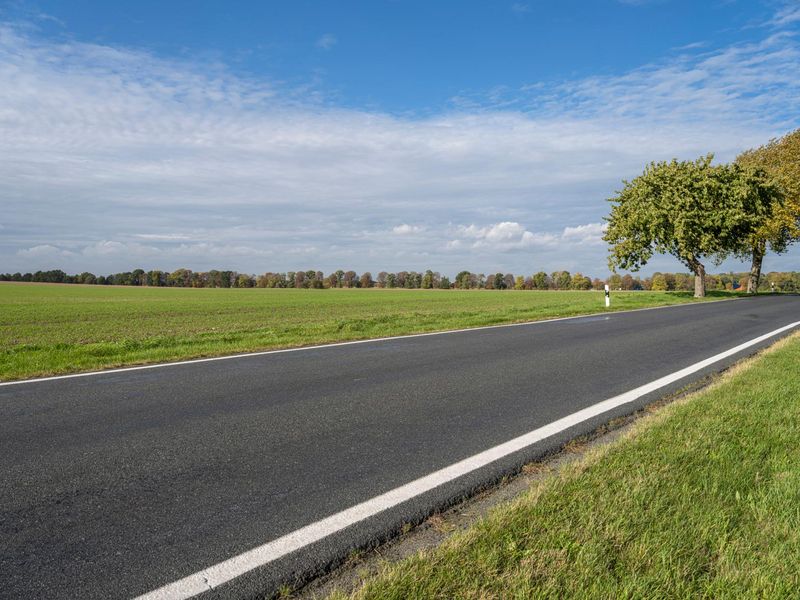 Germany Pasture Road Tree Landscape HDRi Maps and Backplates