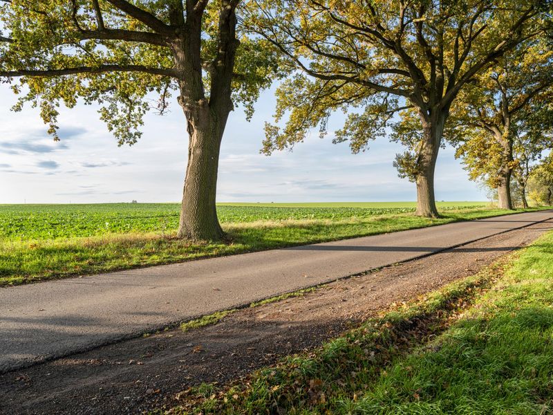 Germany Road: Asphalt and Green Landscape - HDRi Maps and Backplates