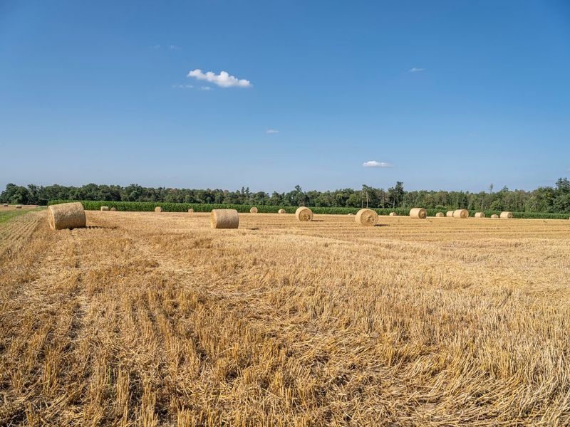 Germany Rural Landscape - Green Field HDRi Maps and Backplates