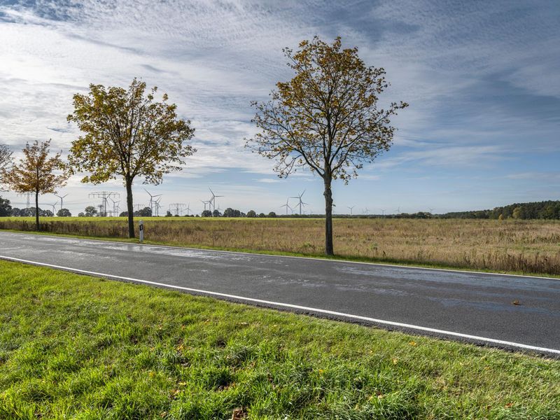 Germany Rural Road Through Trees and Green Field HDRi Maps and Backplates